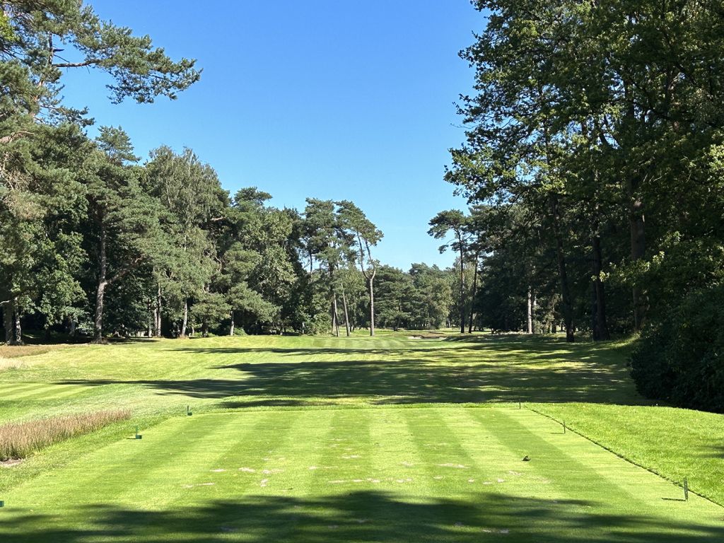 Rankings | GolfCourseGurus